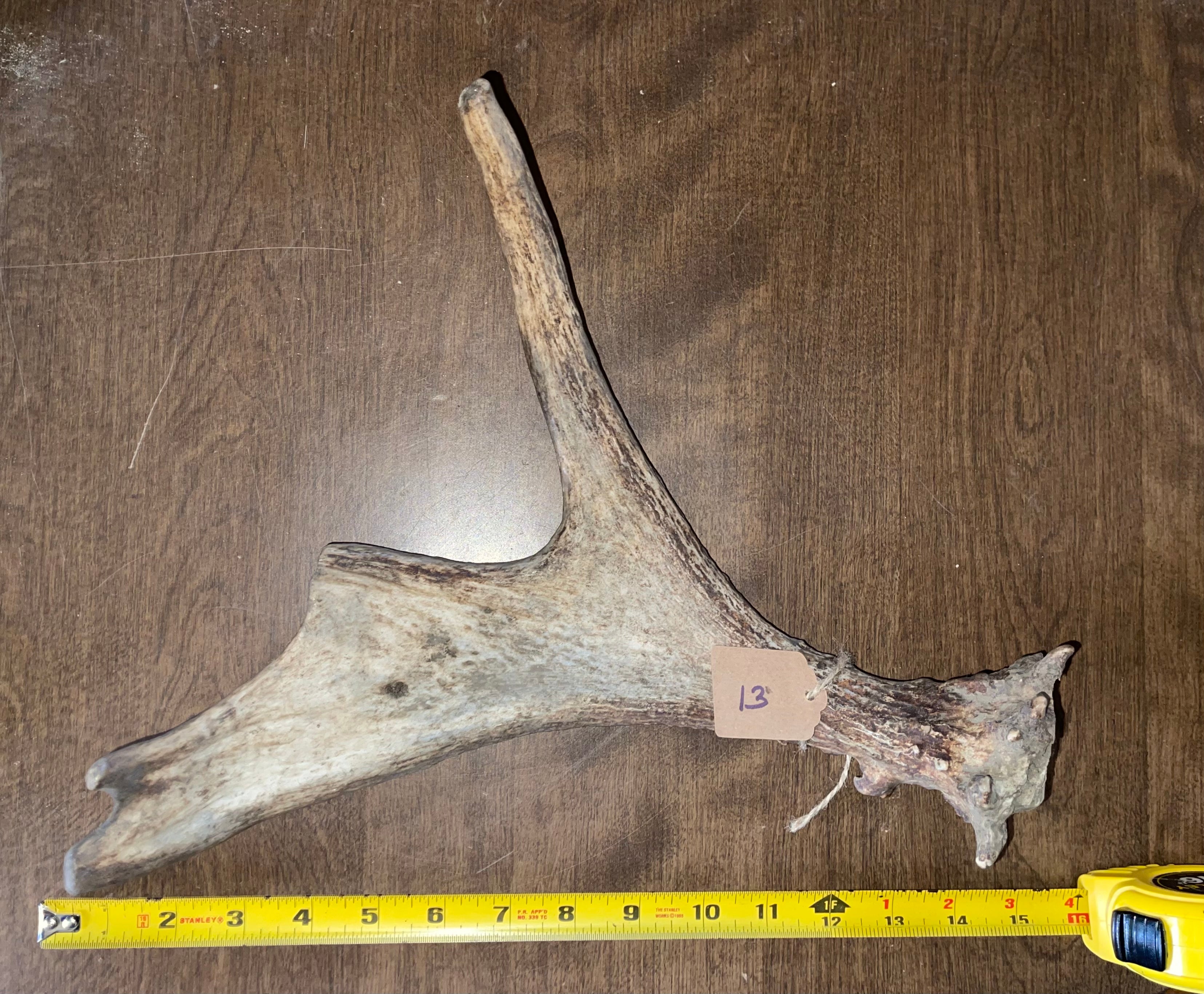 Products – Got-A-Antler