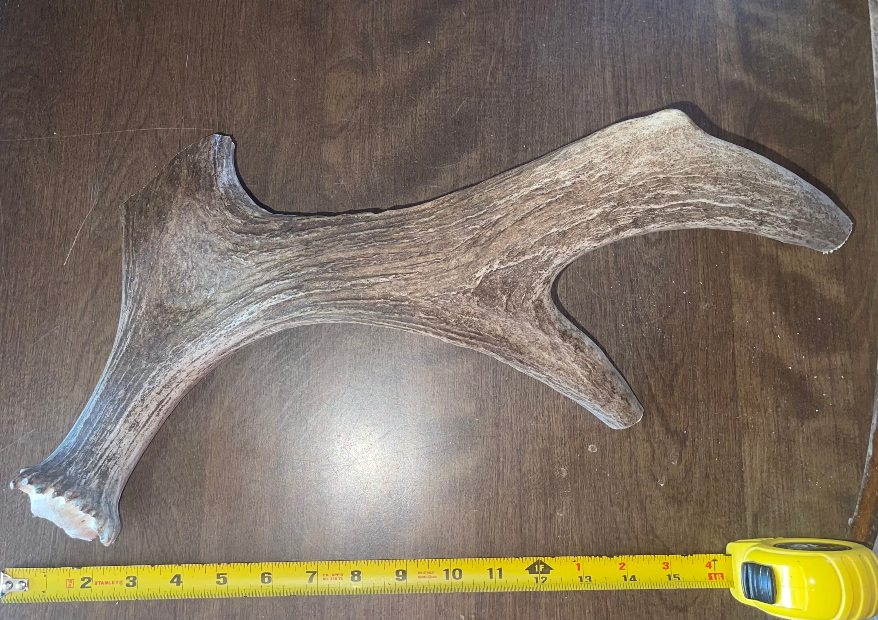 Products – Got-A-Antler