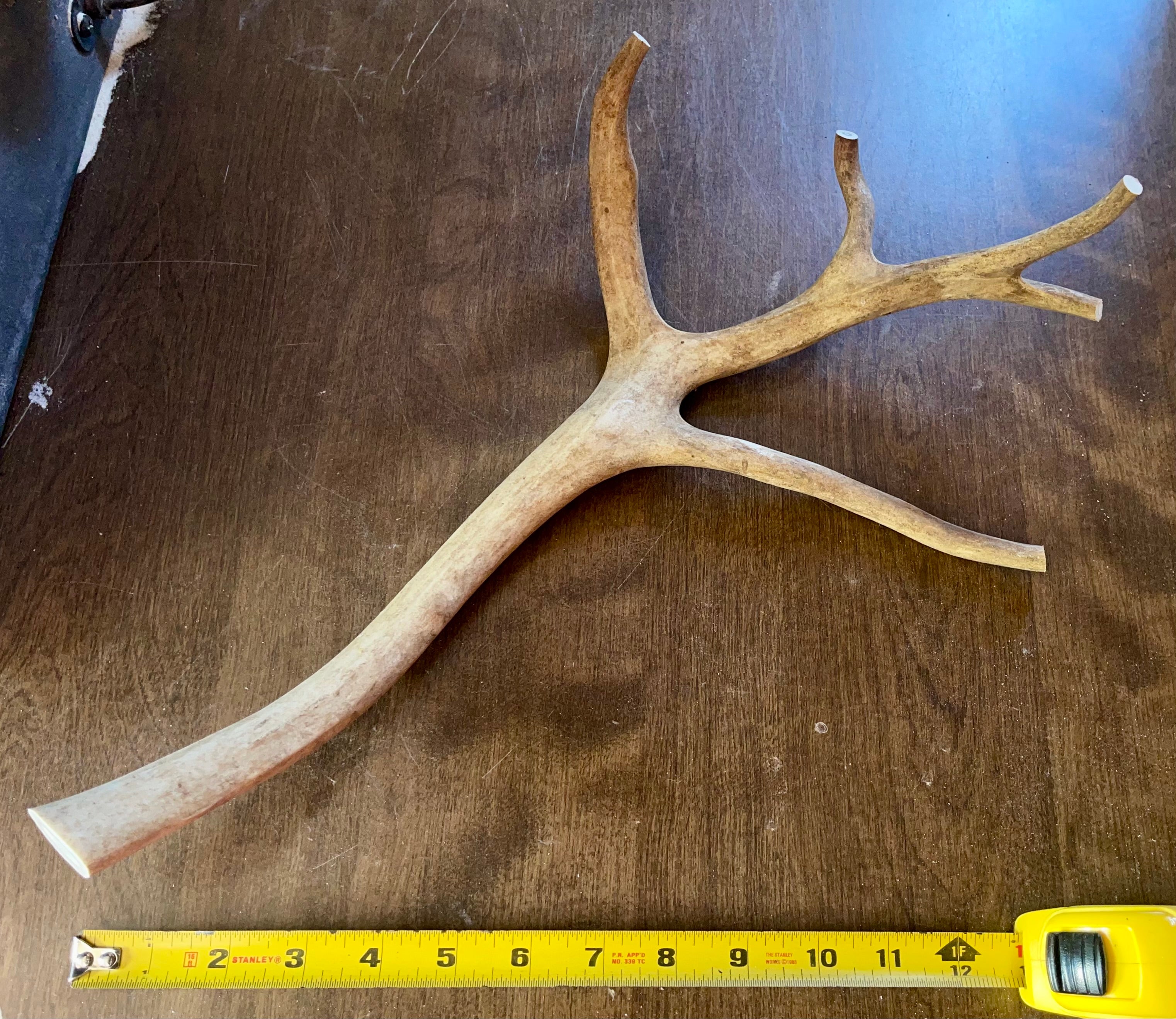 BouMay-11 Caribou Tree Of Life. – Got-A-Antler