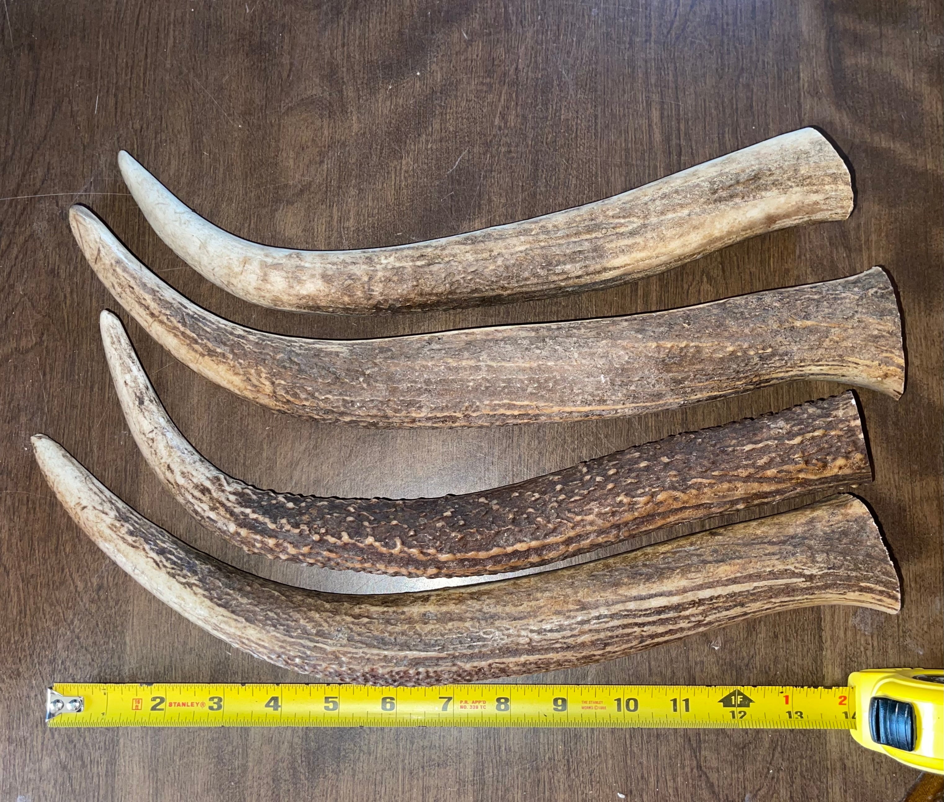 Products – Got-A-Antler