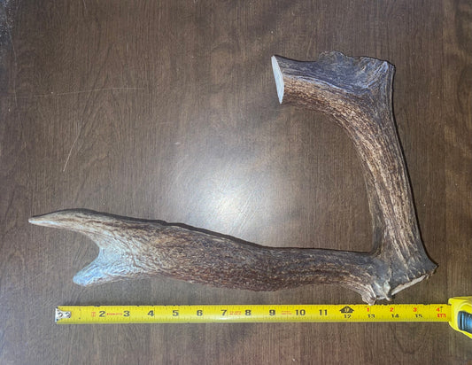 Products – Got-A-Antler