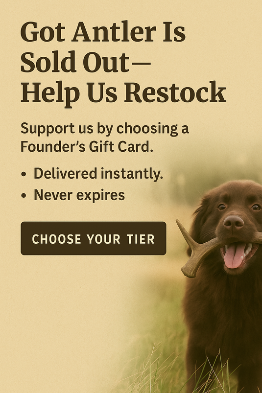 Best USA Antler Dog Chews – Moose, Elk & Deer | Got Antler – Got-A-Antler